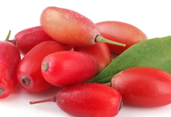 Goji Berry Kombucha Cleanser – ID Skin Pro